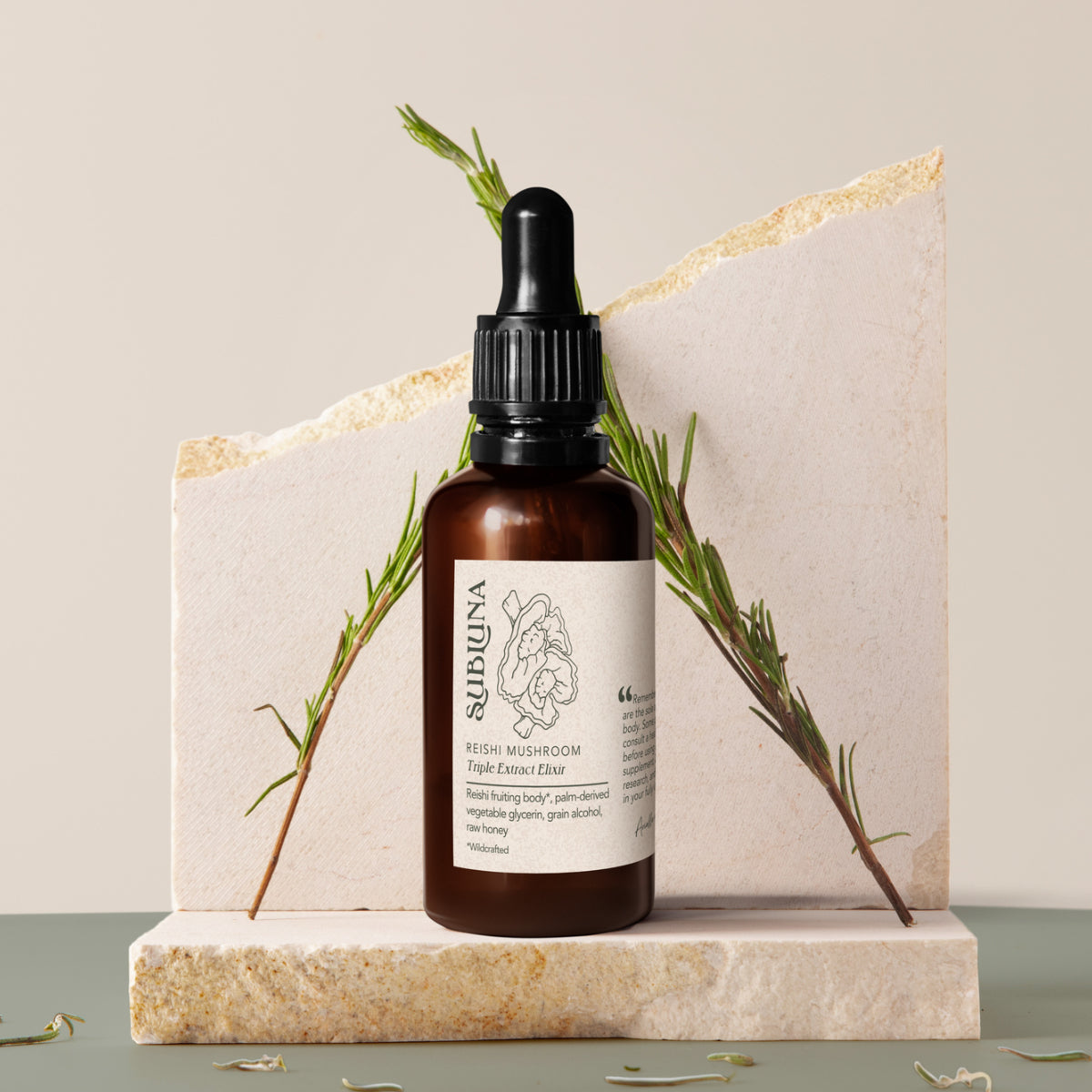 Reishi Triple Extraction Elixir – SubLuna